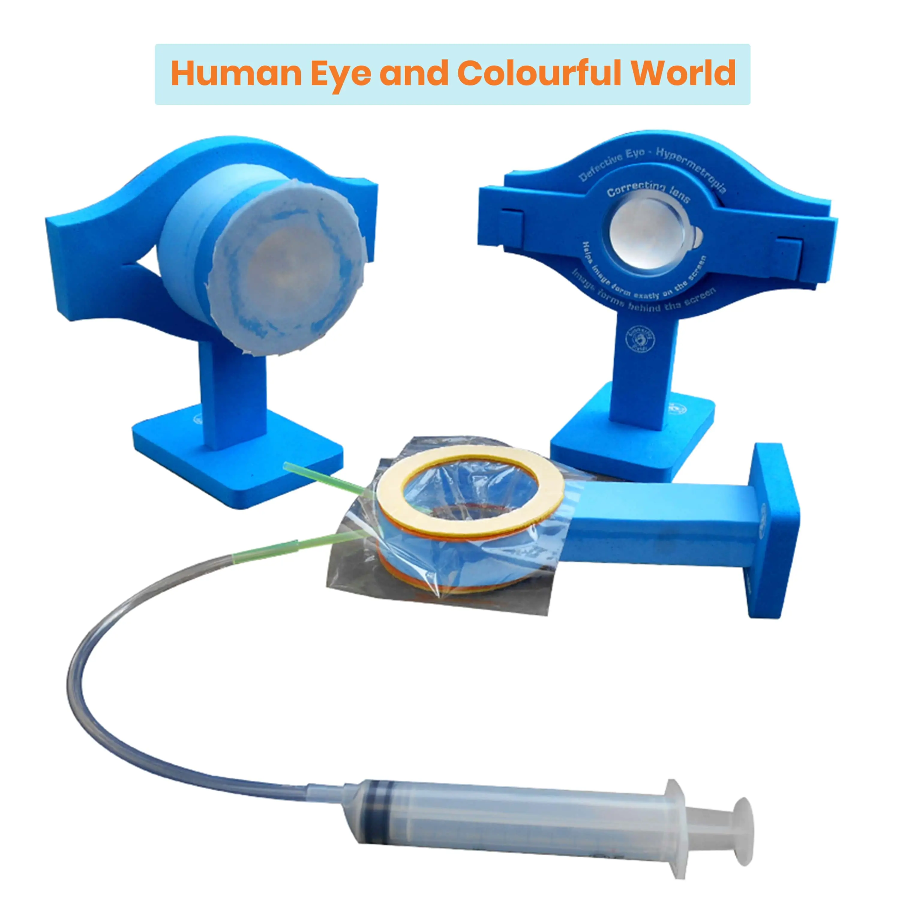 Structure of human eye | Human eye & colorful world