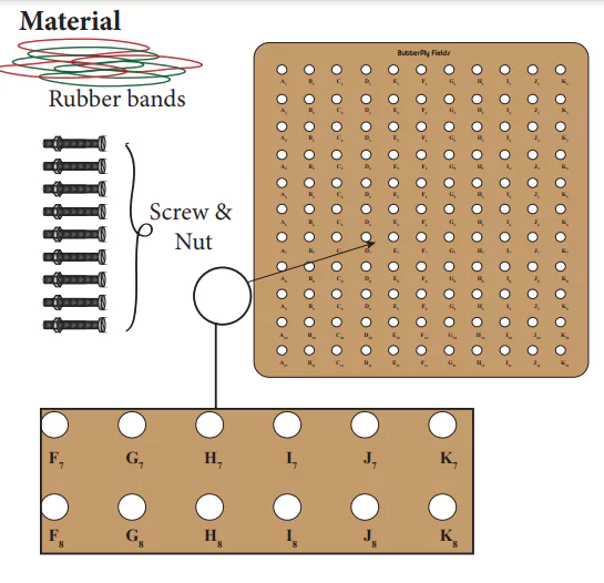 195. Understanding Quadrilaterals